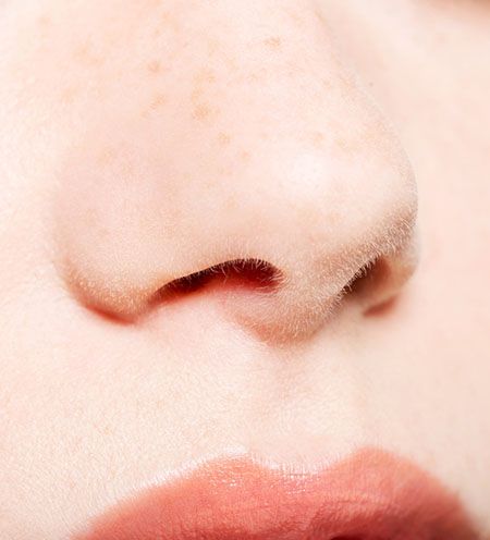 Why Can't I Smell Perfume on My Body | Feeling Sexy