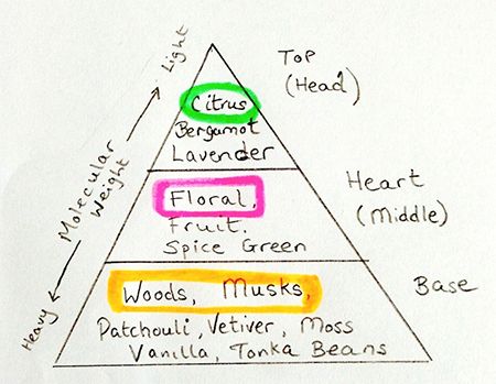 Perfume Terminology Glossary | Feeling Sexy