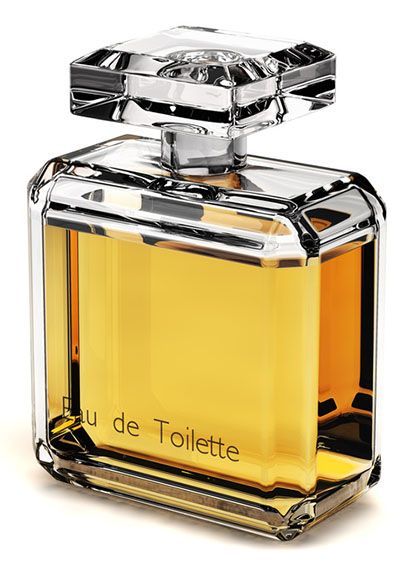 a Little Bit Information About Scent Therapy | Feeling Sexy