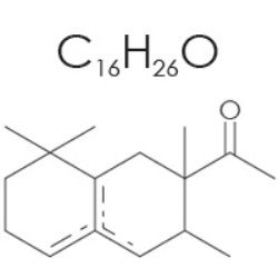 MOLECULE 01 Perfume - MOLECULE 01 by Escentric Molecules | Feeling Sexy ...