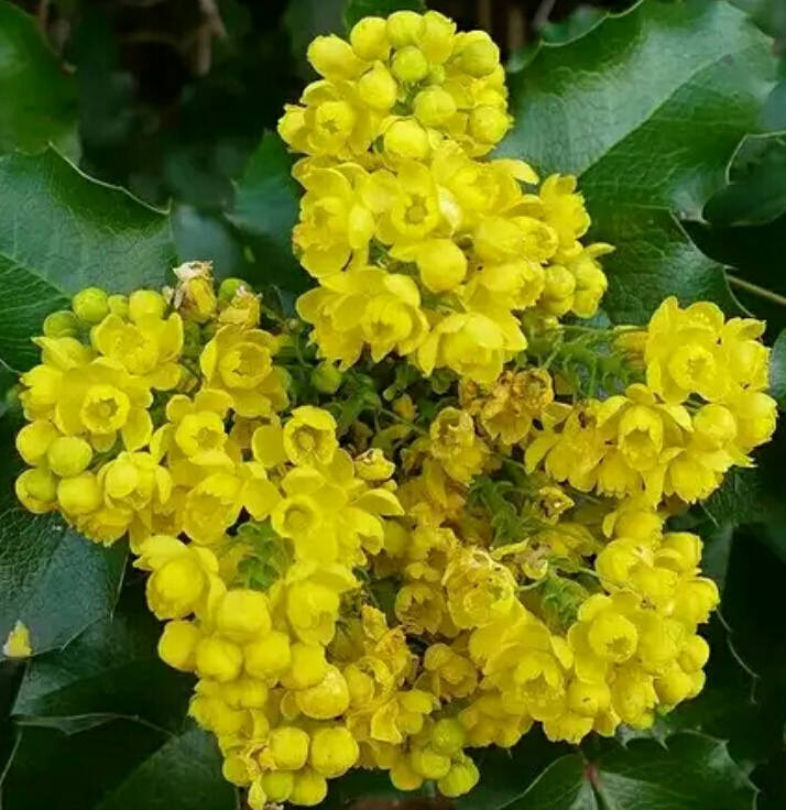 BLACK METAL Perfume - BLACK METAL by John Richmond | Feeling Sexy ...