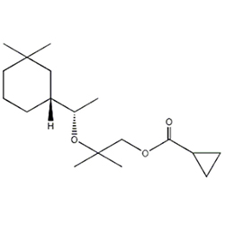PARADOXE INTENSE REFILLABLE Perfume - PARADOXE INTENSE REFILLABLE by ...